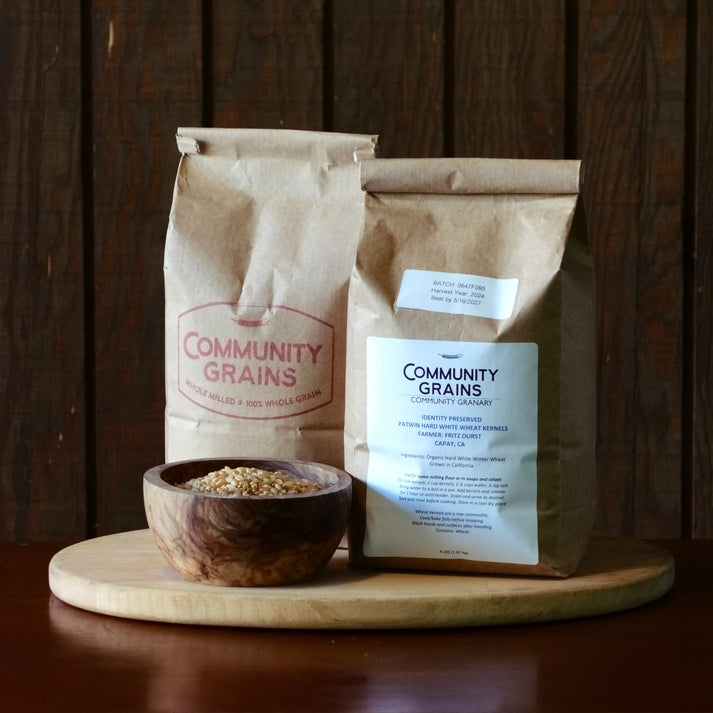 Patwin Hard White Winter Wheat Kernels – Community Grains